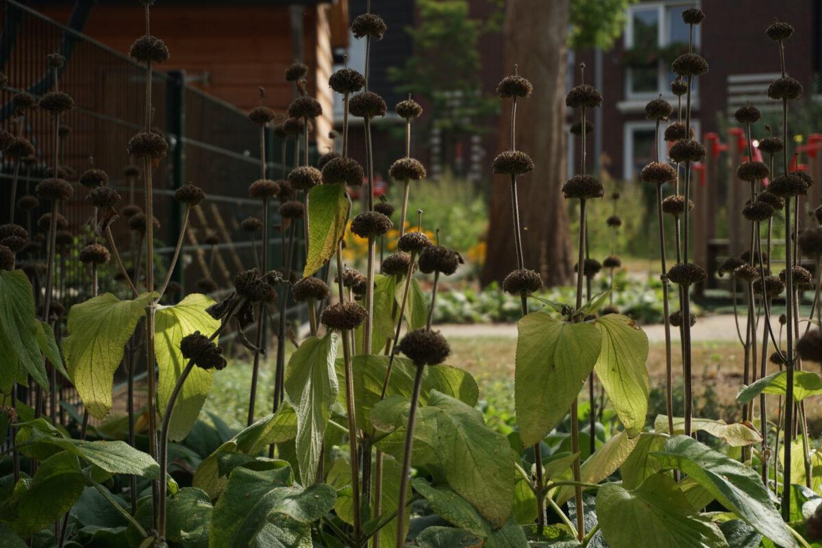 002 - Loopbaan - Kei Loopbaancoaching